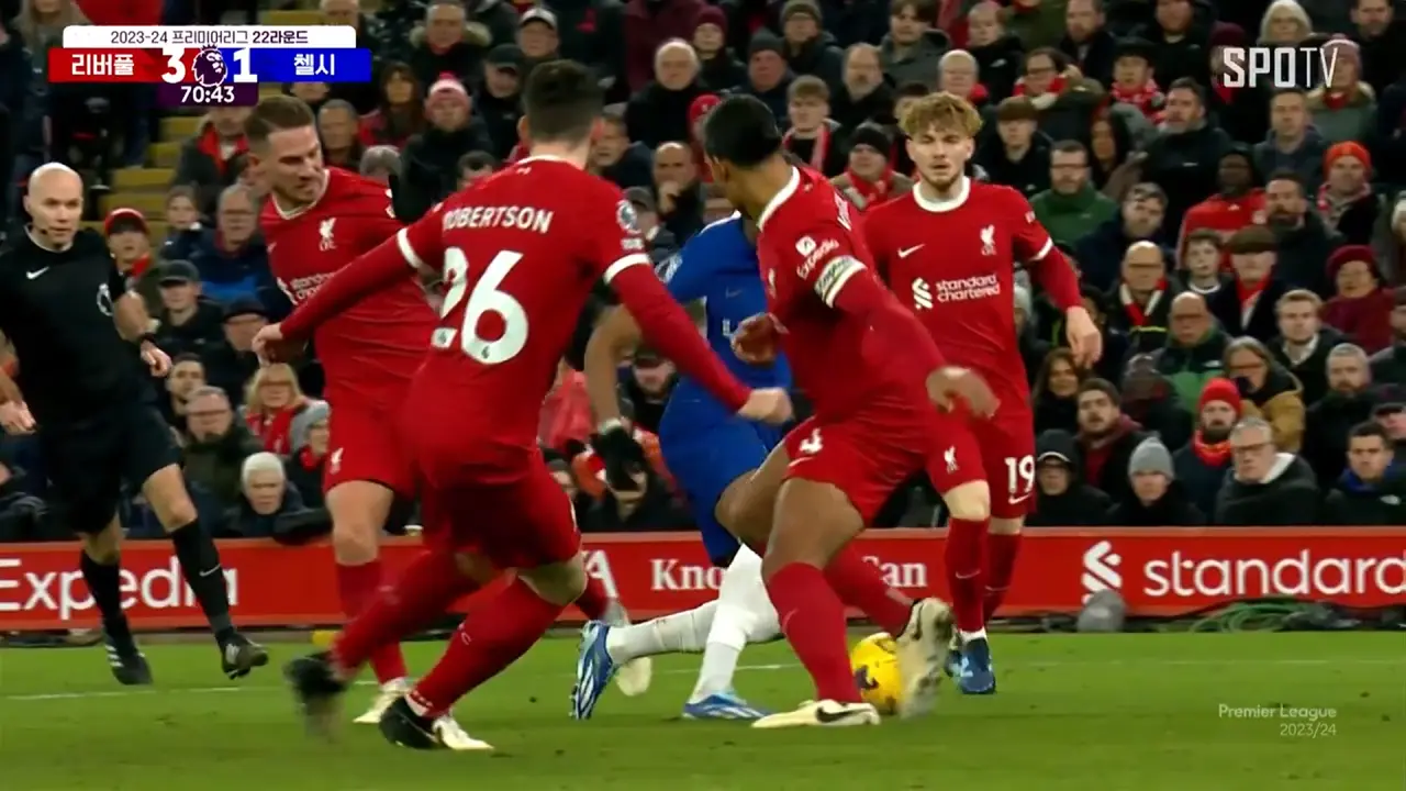 오늘자 반다이크 찢어버리고 축신짤 생성한 은쿤쿠.jpgif - 동물 - 엠봉